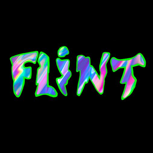 FLINT-Kvindehuset - FLINTAWORLD.COM